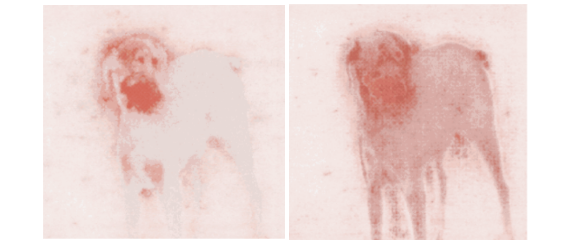 A Visual History of Interpretation for Image Recognition