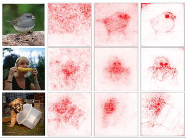 Interpretability in Machine Learning: An Overview