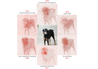 A Visual History of Interpretation for Image Recognition