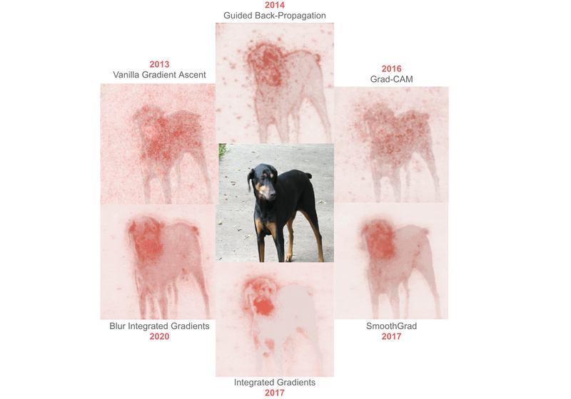 A Visual History of Interpretation for Image Recognition